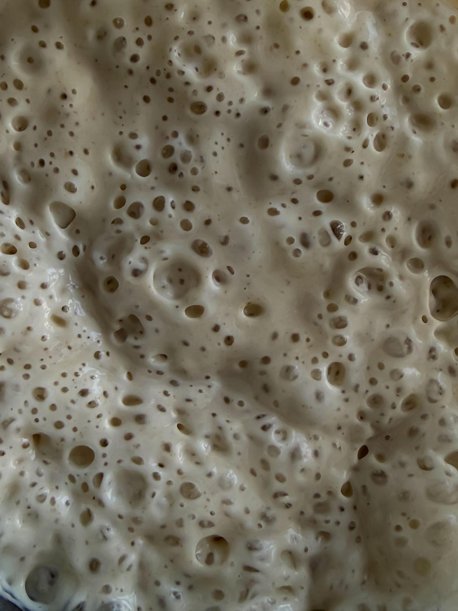 Gluten-Free Sourdough Starter: Easy Step-by-Step Guide